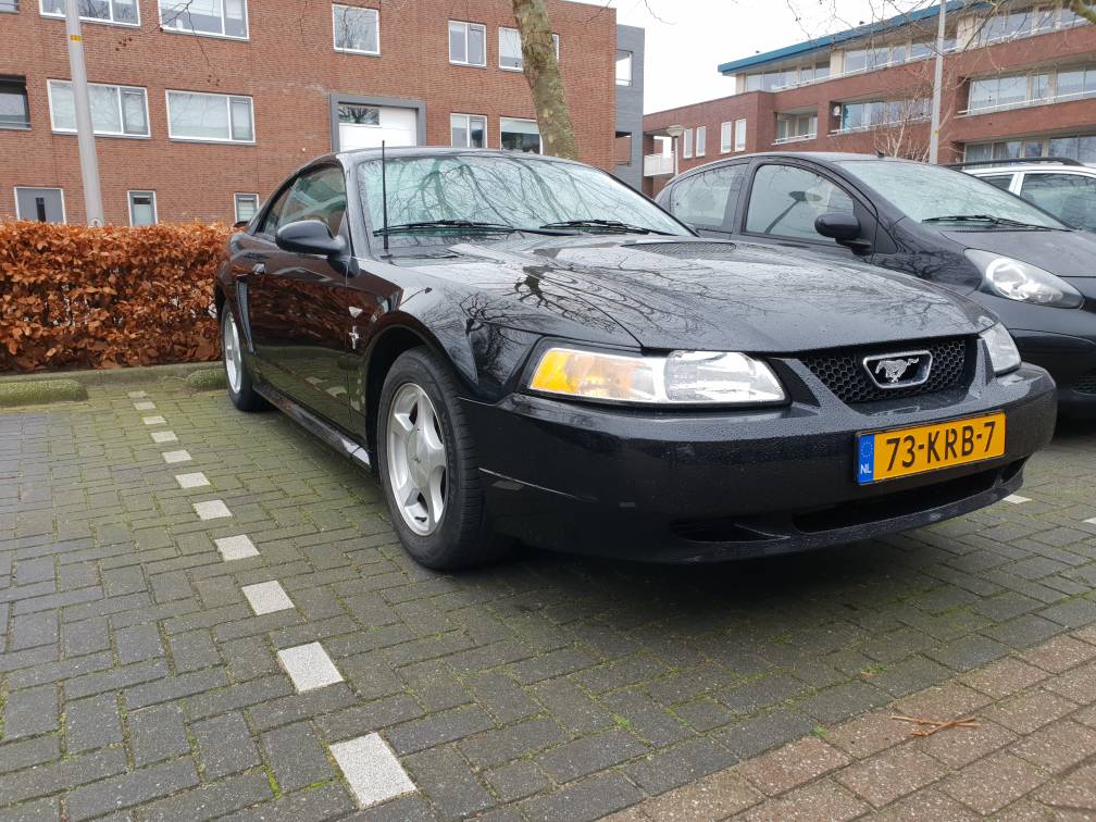 2001 Mustang daily driver